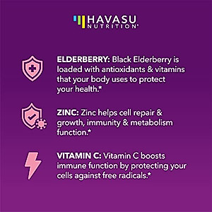 Elderberry Gummies for Kids with Zinc and Vitamin C | Potent, Herbal Immune Support for Kids with Antioxidants to Support Immune Defense | 60 Vegan Elderberry Vitamin C and Zinc Kids Immune Gummies