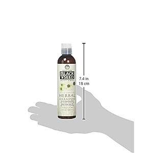 Amazing Herbs Black Seed Herbal Shampoo, 8 Fluid Ounce