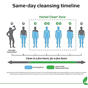 Herbal Clean QCarbo16 Detox Cleanse, Premium Same-Day Detox, Grape Flavor, 16 Fl Oz