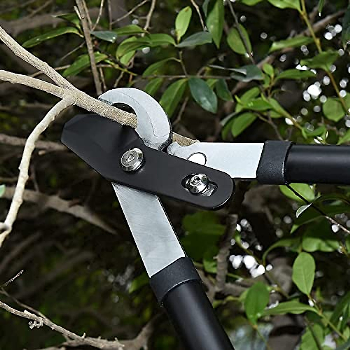 Bypass Lopper with Compound Action, 30 Inch Tree Trimmer, Hand Loppers with 1.75" Cutting Capacity Tree Pruner Chops Thick Branches with Ease, a02