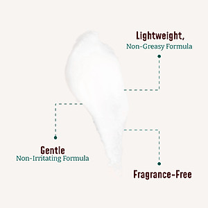 BLOOM Collagen Cream + Aloe Vera Moisturizer Body Lotion & Face Cream | Dry Skin Rescue Collagen Lotion | Skin Tightening Cream | Skin Firming + Tightening Lotion | Body Skin Care Products, 15 Oz