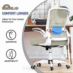 Mimoglad Home Office Chair, High Back Desk Chair, Ergonomic Mesh Computer Chair with Adjustable Lumbar Support and Thickened Seat Cushion (Modern, Beige)