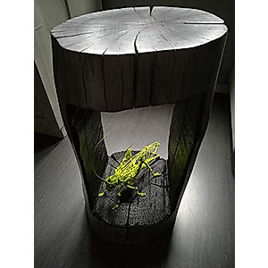 Coffee Table Made From Wood Available In Different Height and Color, Book Stand, Trunk Table