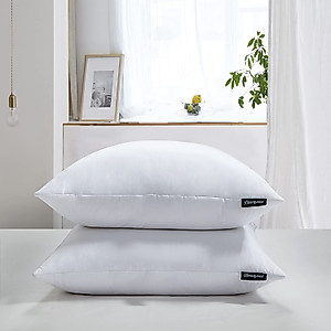Beautyrest Euro Pillow, 26''x26'', White 2 Count