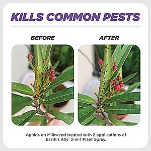 Earth's Ally 3-in-1 Plant Spray Concentrate | Insecticide, Fungicide & Spider Mite Control, for Indoor Houseplants & Outdoor Plants & Gardens - Insect, Pest & Antifungal Treatment, 32oz Concentrate