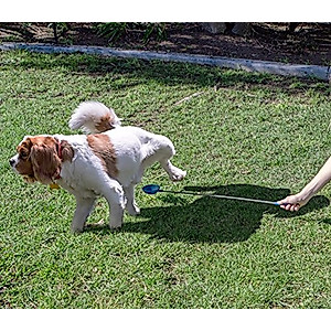 PawCheck P-Scoop Dog Urine Collector - Reusable and Telescopic Dog Urine Catcher extends to 29"