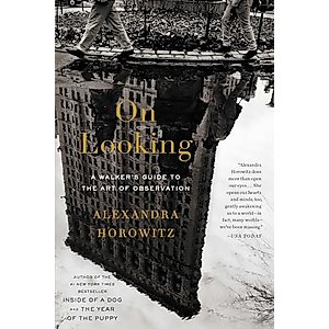 On Looking: A Walker's Guide to the Art of Observation