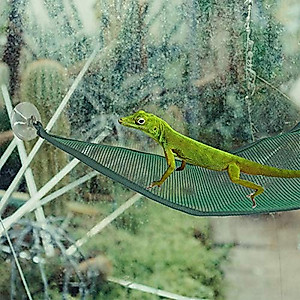 KUDES Bearded Dragon Hammock, 2 Pack Reptile Hammock Lounger Ladder Lizard Hanging Bed House Cage Accessories Reptile Terrariums Habitat Decoration for Bearded Dragons Geckos Lizards Reptile Snakes