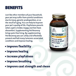 PURICA Recovery SA Powder 350g - Advanced Support for Joints, Comfort & Mobility in Dogs & Cats - Natural & Safe Supplement