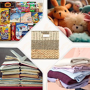 6 Pack Natural Wicker Storage Cubes Baskets 12 x 12 Wicker Basket Laundry Organizer for Cube Shelf, Foldable Square Baskets with Built in Handles for Shelves Decor Inserts