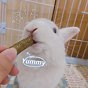 Grddaef 20 PCS Bunny Chew Toys for Teeth, Natural Rabbit Toys Apple Wood Grass Timothy Sticks Chew and Treat for Guinea Pigs Hamster Chinchillas