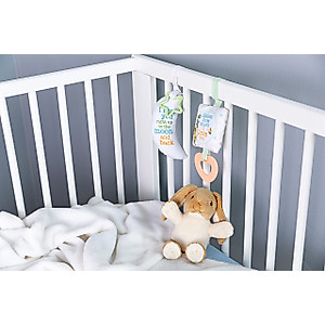 KIDS PREFERRED Guess How Much I Love You 3 Piece Gift Set with Stuffed Animal and Activity Toys