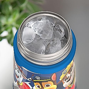 THERMOS Vacuum Insulated Stainless Steel 10oz Straw Bottle, PAW PATROL BOY