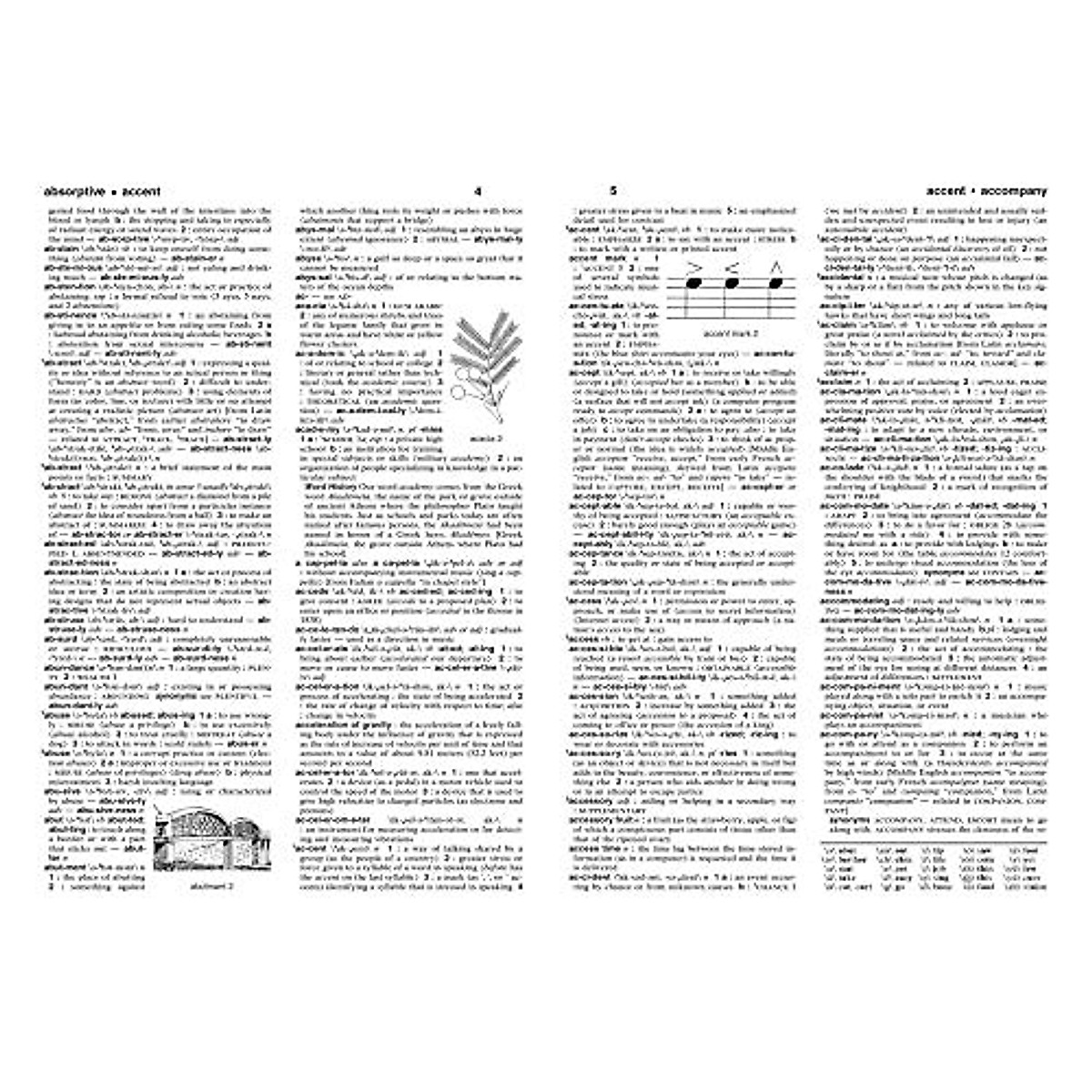 Merriam-Webster's Intermediate Dictionary, Newest Edition, (The Authoritative Middle School Dictionary)