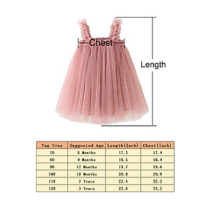 BGFKS Layered Tulle Tutu Dress for Toddler Girls,Baby Girl Rainbow Tutu Princess Skirt Set with Flower Headband.(Dusty Rose,12 Months)