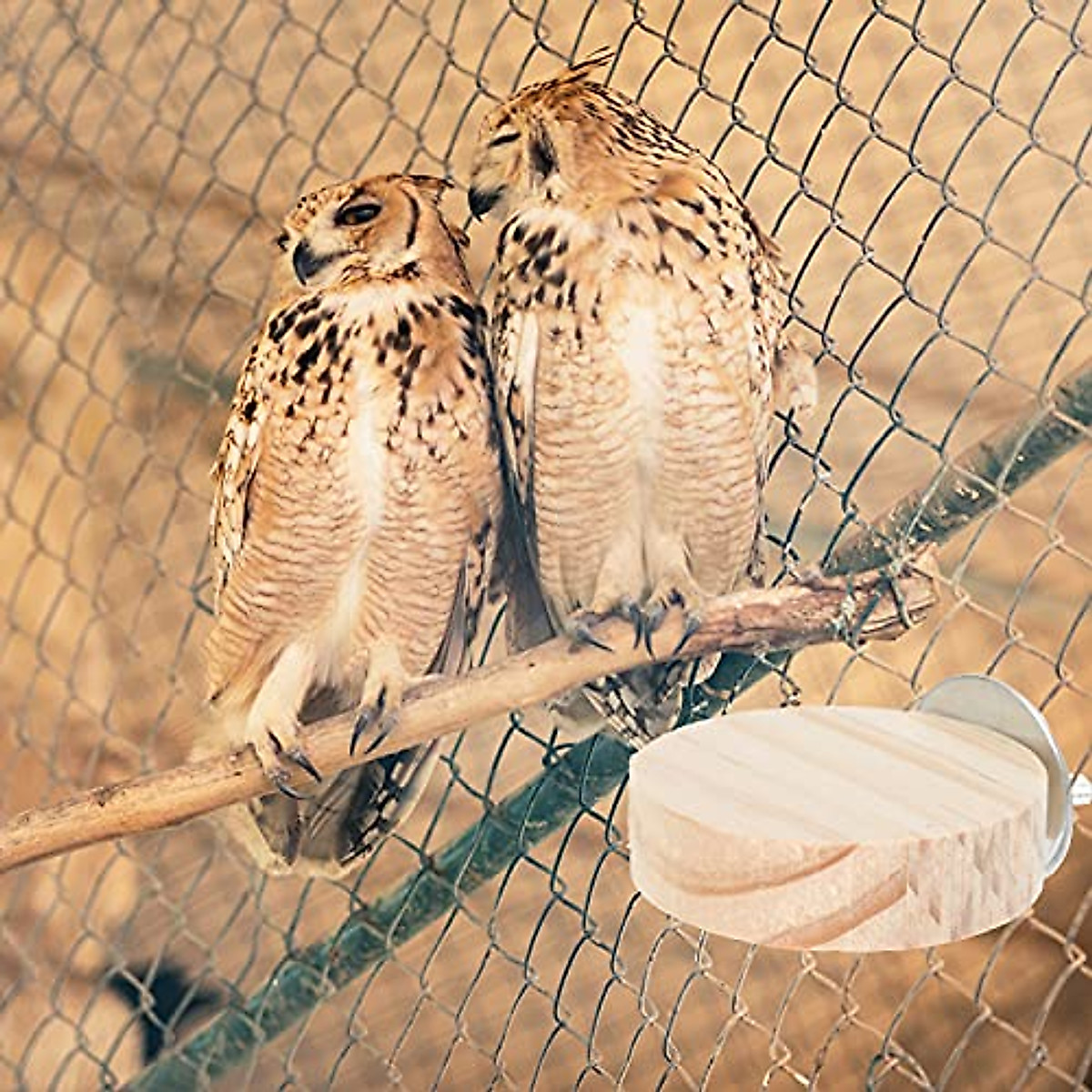 cabilock Climbing Toys 3pcs Bird Wood Platform Parrot Perch Stand Playground Cage Corner Shelf Board for Conures Budgies Hamster Gerbil Rat 5. 5cm Round Bird Cage