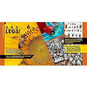 The Fascinating Bug Book for Kids: 500 Startling Facts! (Fascinating Facts)