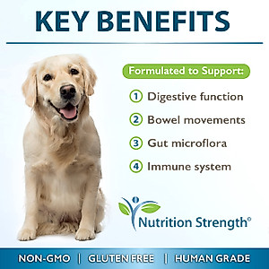 Nutrition Strength Psyllium for Dogs Complex to Promote Your Pet's Gut Health, Stimulate Healthy Digestion, Support Normal Bowel Function, with Psyllium + Inulin, Bromelain & Protease, 90 Soft Chews