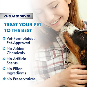 PetSilver Ear Wash Flush, Patented Chelated Silver Formula - Superior to Colloidal Silver, Cat and Dog Ear Cleaner and Treatment, Soothe and Clean Itchy and Inflamed Ears, Easy to Use, USA Made, 8 oz.