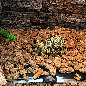 2 Pack 14 W Reptile Heating Pad Under Tank Heater Tank Warmer with Temperature Control, Power Adjustment Terrarium Heater Heat Mat for Reptiles Turtle Tortoise Snakes Lizard