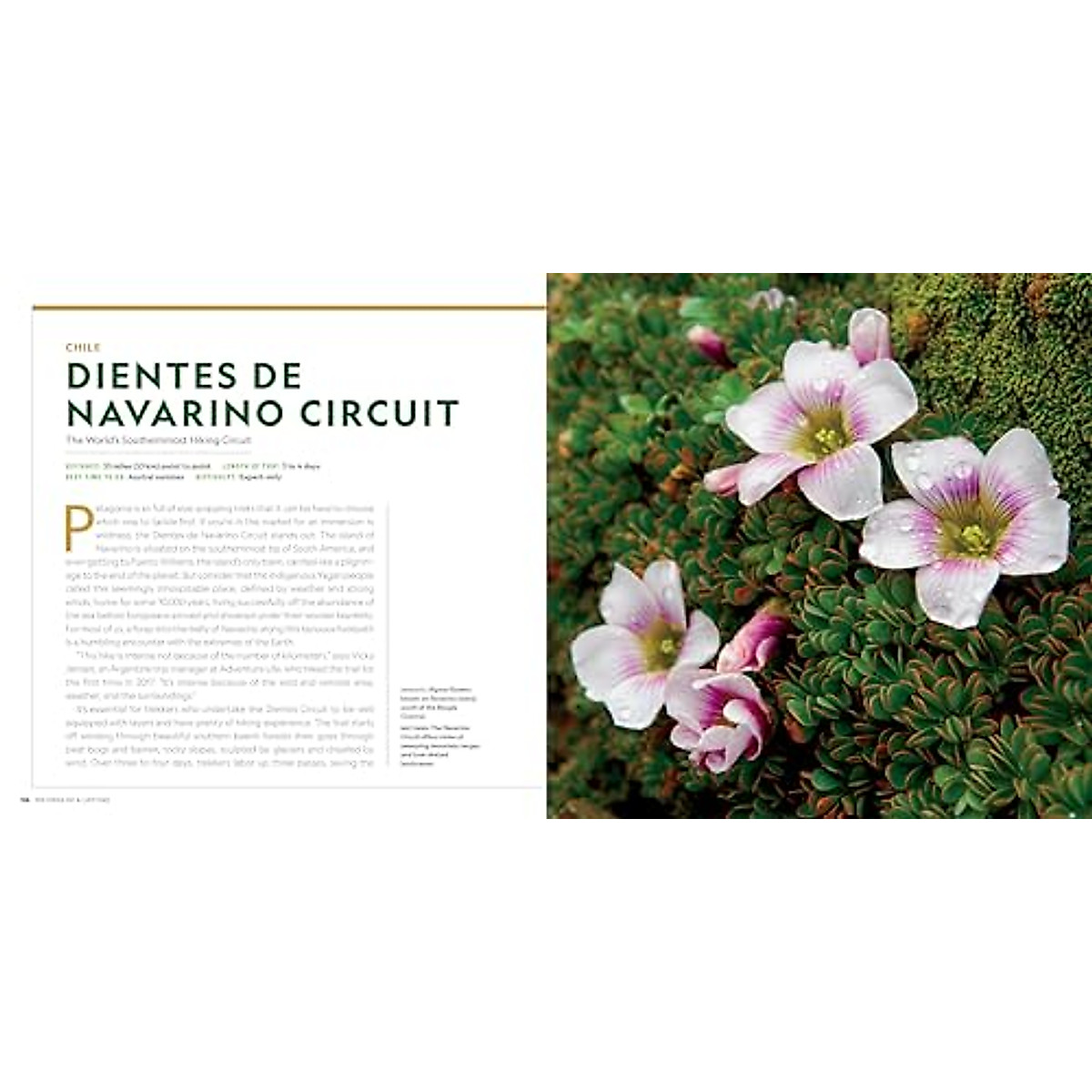 100 Hikes of a Lifetime: The World's Ultimate Scenic Trails