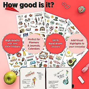 Happy Holiday Seasonal Planner Stickers - 500+ Cute Stickers for Daily Planners – Monthly Events, Halloween, Calendars, Journal, Female Empowerment, Teachers, 6 Water Bottle Stickers Pack