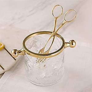 FBITE an Ice Bucket,Glass Ice Bucket with Ice Clip Table Cooler Wine Wine Rack Ice Bucket Champagne Can Cooler (Color : A,Size Sturdy and Durable/a/As The Picture Shows
