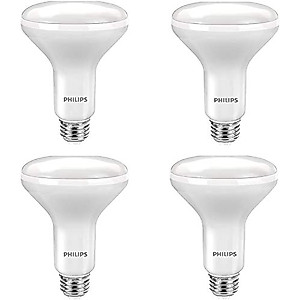 Philips LED Dimmable BR30 Light Bulb: 650-Lumen, 5000-Kelvin, 11-Watt (65-Watt Equivalent), E26 Base, Frosted, Daylight, 4-Pack