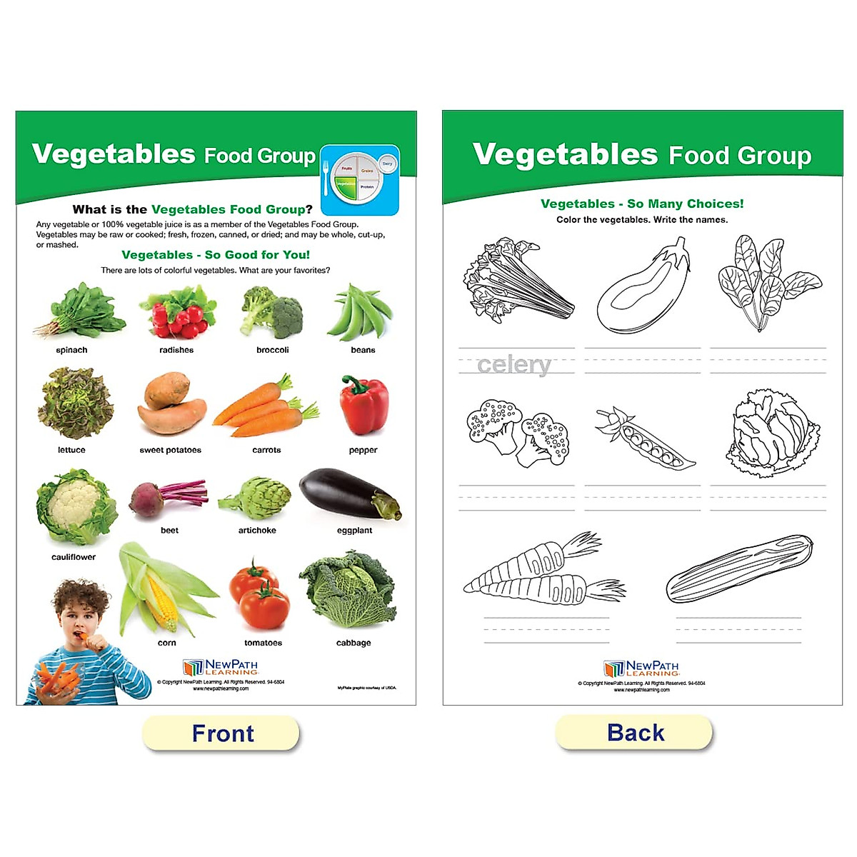 NewPath MyPlate - Food & Nutrition Bulletin Board Charts, Gr 1-4, Set/8 - Laminated, Double-Sided, Full-Color, 12" x 18" (94-1120)