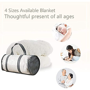 Sleepwish Lunar Eclipse Blanket Moon Phases Blanket Celestial Fleece Blanket Dark Blue Sherpa Throw Blanket College Dorm Blanket Baby(30"x40")