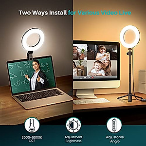 Weilisi 6.5'' Ring Light for Computer, 3 Light Modes Video Conference Lighting, Mini Ring Light Selfie Ring Light for Laptop, Webcam, Zoom, Desk