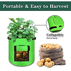 Qaxlry Potato Growing Bags, 2 Pack 10 Gallon Double Thickened Felt Potato Grow Containers with Handles & Access Flap for Potatoes, Tomato, Carrot, Onion, Vegetables, Fruits, Plants