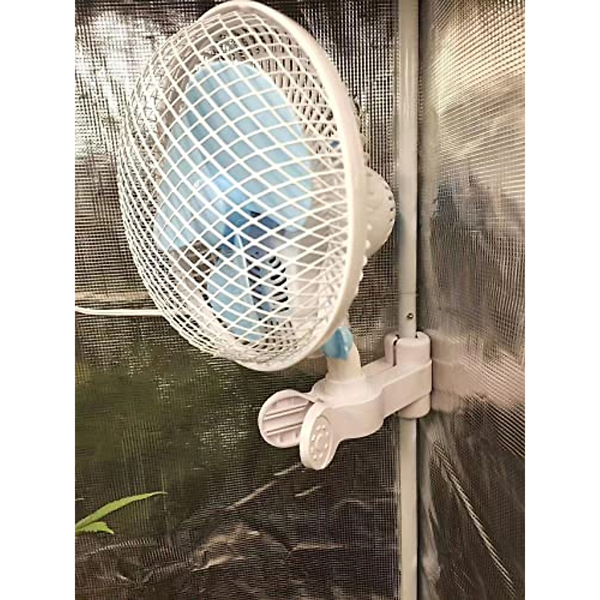 blessny 6" Grow Tent Fan Oscillating for Pole Mount 0.59-1 in, 8 Ft Long Cord Small Clip-on Fan for Home Growing, 20W 2-Speeds 39dB Quiet with Heavy Duty Clamp