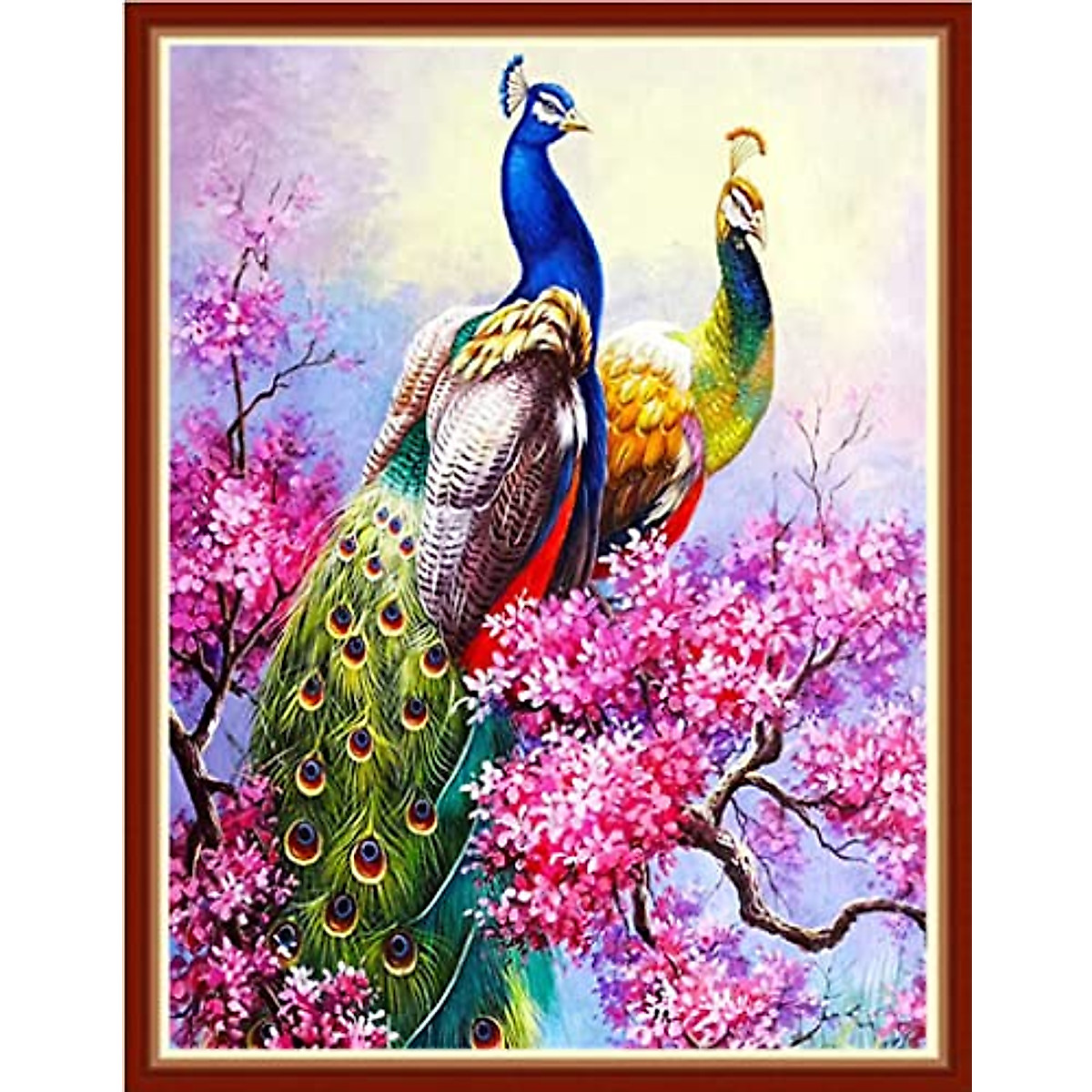 Dimensean Cross Stitch Kits Stamped Full Range of Embroidery Starter Kits for Beginners DIY 11CT Cross Stitches Needlepoint Kits-Peacock 15.7x19.7 inch