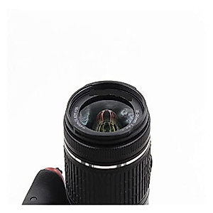 Digital Camera D3400 DSLR Camera Bluetooth Connectivity 24.2mp Dx Format CMOS 4.1. Wi-Fi Digital Camera Photography (Size : Camera Body ONLY)
