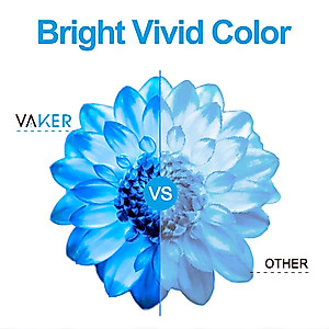 VAKER Remanufactured Ink Cartridge 61 Replacement for HP 61XL 61 for HP Envy 4500 5530 5534 5535 Deskjet 1000 1055 1056 1010 1510 1512 2540 3050 Officejet 2620 2621 4630 Printer (1 Black 1 Tri-Color)