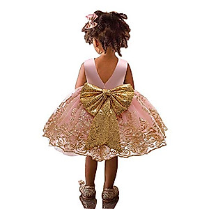 Flower Girl Dress 3-6 M Month Sleeveless Lace Embroidery Special Occasion Dress Ruffles Wedding Birthday Dresses Dressy Up Fancy Tulle Tutu Ball Gown for Infant Party Knee Sundress (8557Pink, 60)