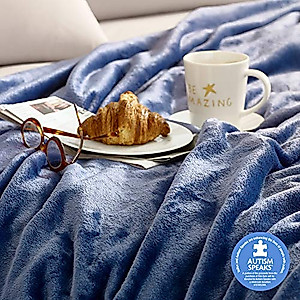 Vellux The Heavy Weight 15 Pound Weighted Camel Blanket