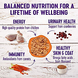 Wellness Complete Health Grain Free Canned Cat Food, Chicken Pate, 3 Ounces (Pack of 24)