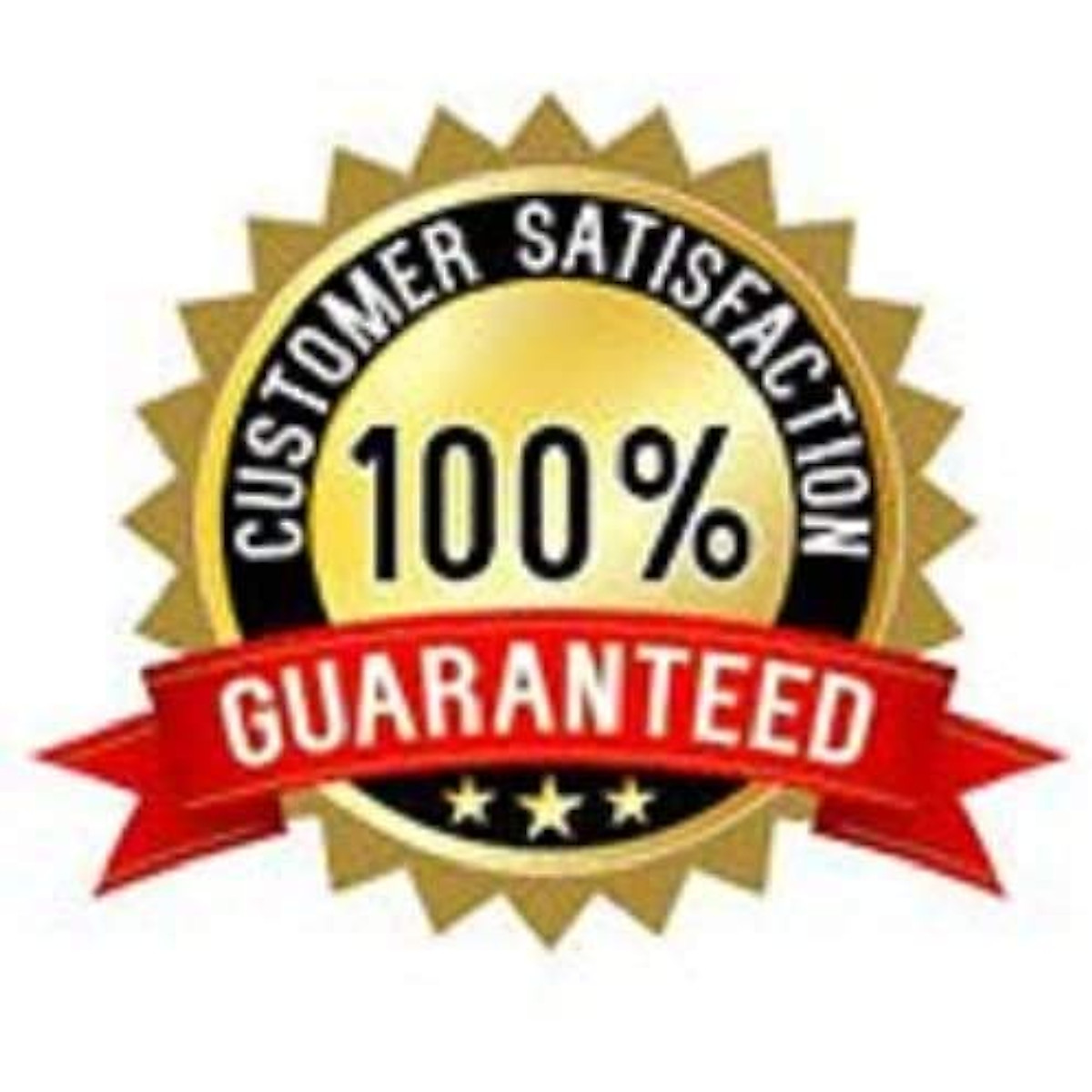 Dream Solutions USA DS USA Comfort Classic Gentle Firm Full XL Mattress Only with Mattress Cover Protector - Fully Assembled, Orthopedic, Good for Your Back, Long Lasting and 2 Sided