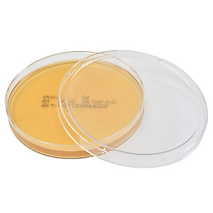 Malt Extract Agar with 0.01% Chloramphenicol, deep fill, for the cultivation, isolation, and maintenance of yeasts and molds, 15x100mm prepoured plate, order by the package of 10, by Hardy Diagnostics