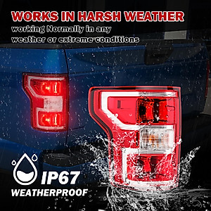 MZORANGE Brake Tail Light Rear Lamp For Ford F150 F-150 2018 2019 2020 (Left Driver Side)