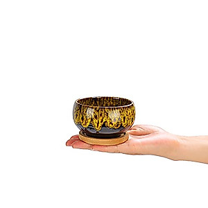 LAMDAWN Cute Ceramic Succulent Garden Pots, Planter with Drainage and Attached Saucer, Set of 5 -Plants Not Included (Round)