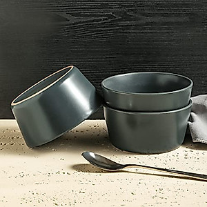 Stone Lain Coupe Stoneware Dinnerware Set, Service for 4, Gray Matte