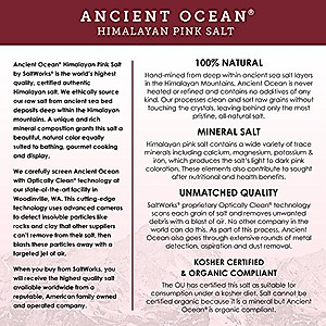 SaltWorks Ancient Ocean Himalayan Pink Salt, Fine Grain, 5 Pound Bag