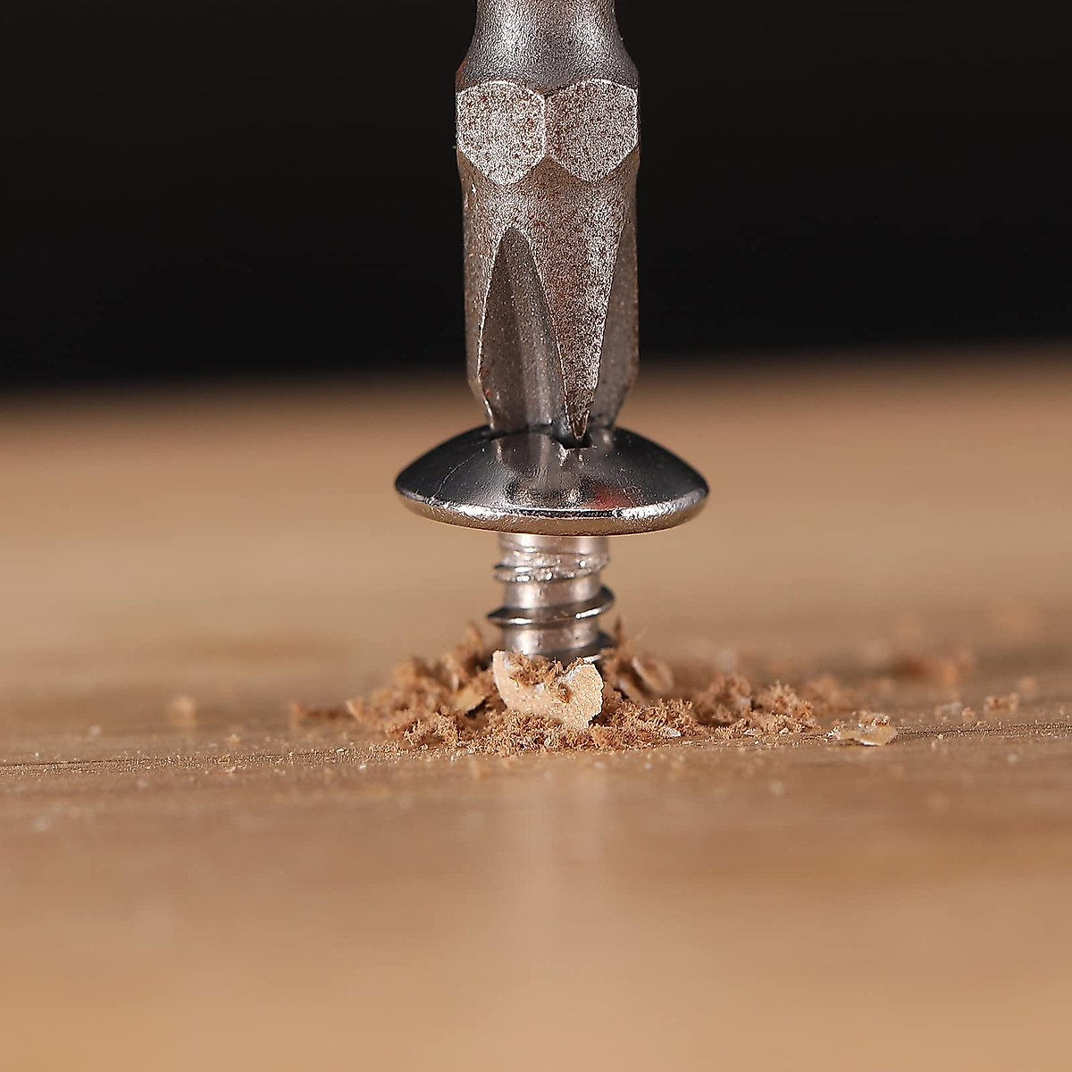 #4 x 1/4" Wood Screw 100Pcs Truss Head Phillips 18-8 (304) Stainless Steel Fast Self Tapping Screws by SG TZH