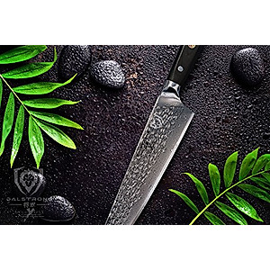 Dalstrong Shogun Series X Damascus Japanese AUS-10V Super Steel Chef Kitchen Knife with G10 Black Handle ABS, 10.25 Inches, Sheath Included