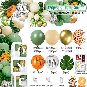 Daidle Wild One Birthday Decorations, 1st Birthday Decorations for Boy or Girl, First Birthday Decorations, 1st Birthday Photo Banner, Balloon Box, Jungle Theme Safari Birthday Decorations Boys Girls