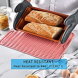 Happy L Dish Drying Mat for Kitchen Counter, Silicone Dish Drainer Mats Heat Resistant Mat, Non-slipping Dishwasher Safe (Pink, 16inch x 12inch)