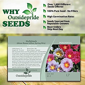 Outsidepride Indian Springs Hollyhock Garden Flower Climbing Vine Plant Mix - 2000 Seeds
